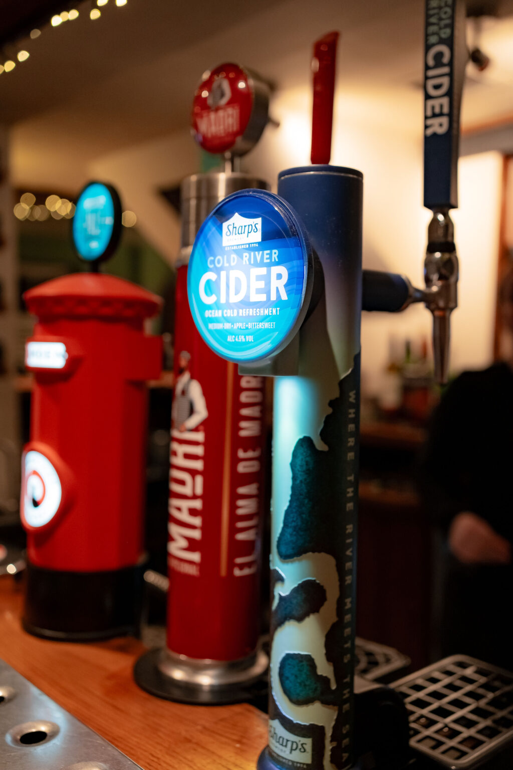 Gallery - The Dog Pentrich