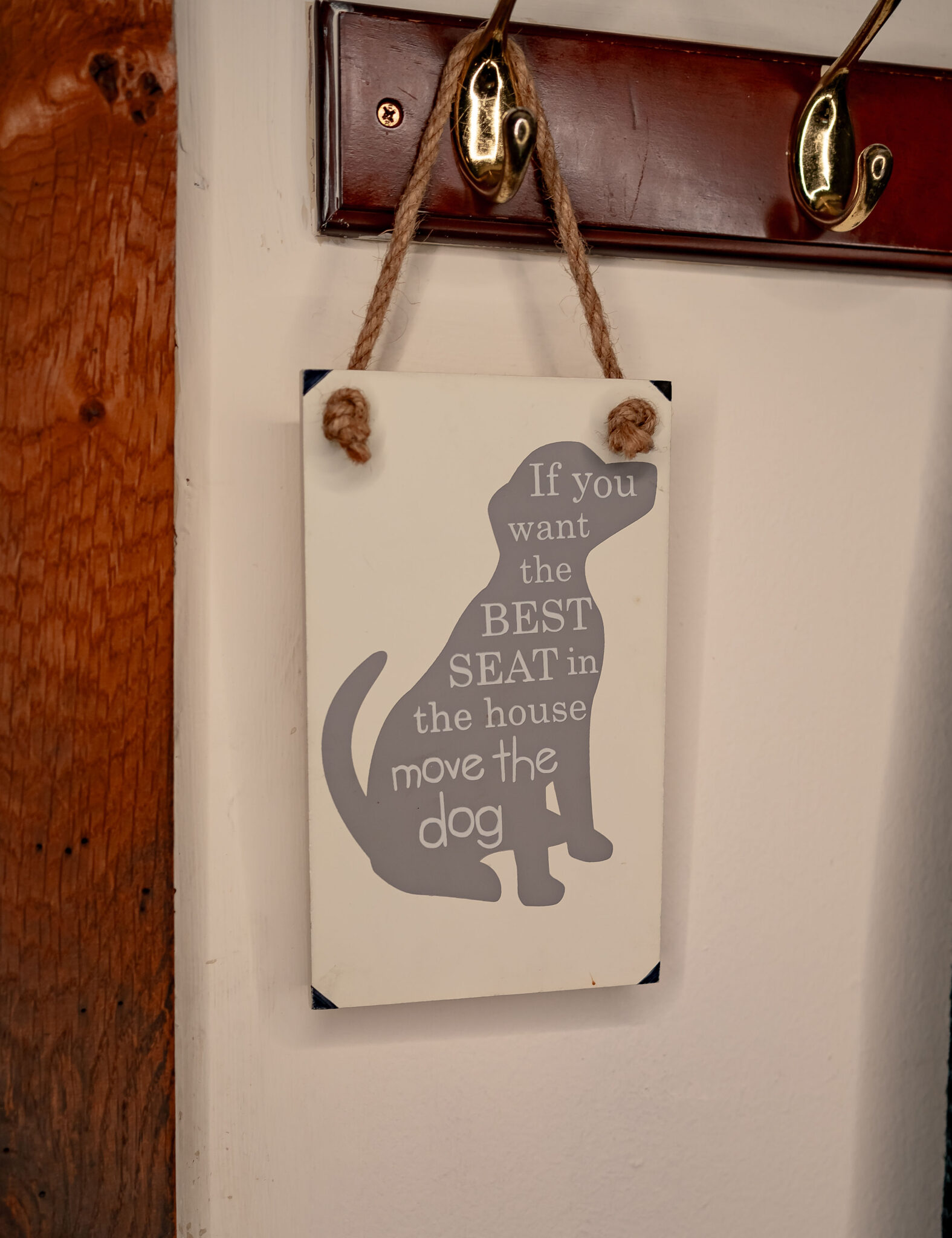 Gallery - The Dog Pentrich